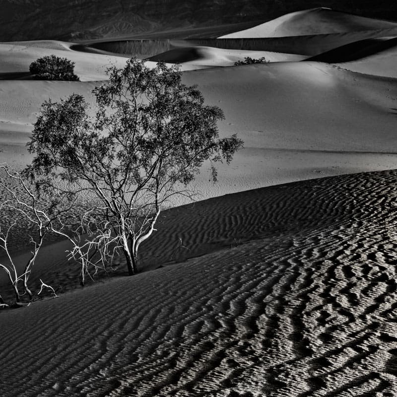 Waves And Ripples In Architecture – Mike Schaffner Photography
