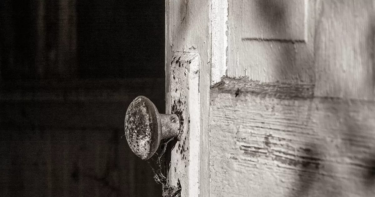 An Invitation For The Curious – Mike Schaffner Photography